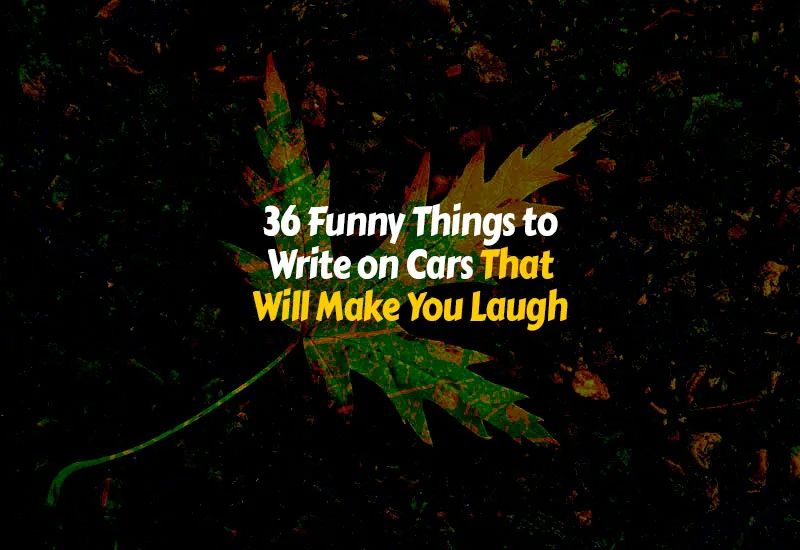 36 Funny Things to Write on Cars That Will Make You Laugh