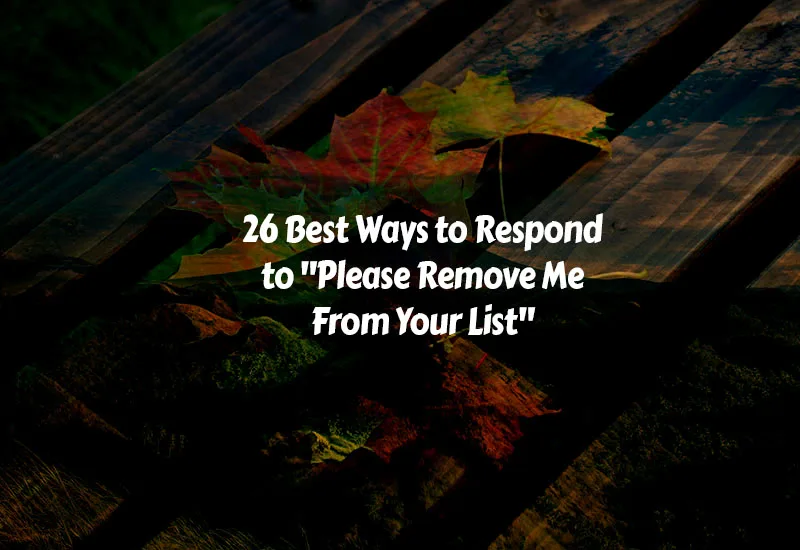 26 Best Ways to Respond to "Please Remove Me From Your List"