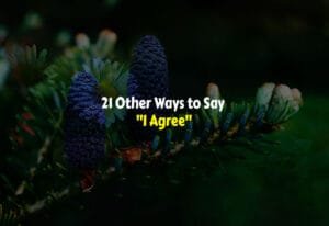 21 Other Ways to Say "I Agree"