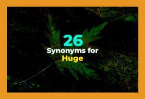 Synonyms for Mindset (29 Best Words With Examples)