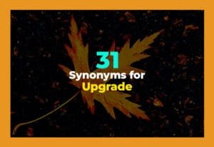 Synonyms for Framework (28 Best Words With Examples)